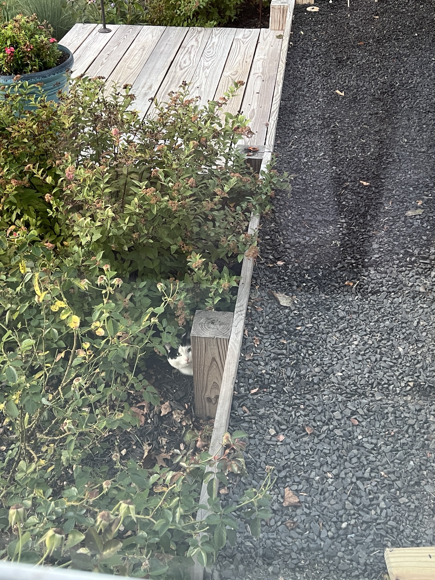 Saturday Morning – Thoughts From The Passenger Seat